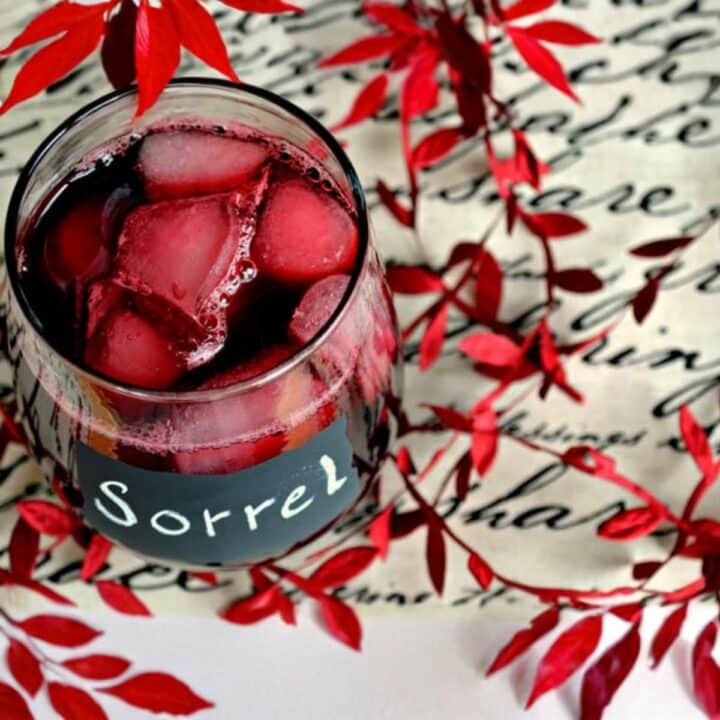sorrel-2_c_pad,b_gen_fill,w_1200,h_1200,ar_1_1 » Alica's Pepperpot