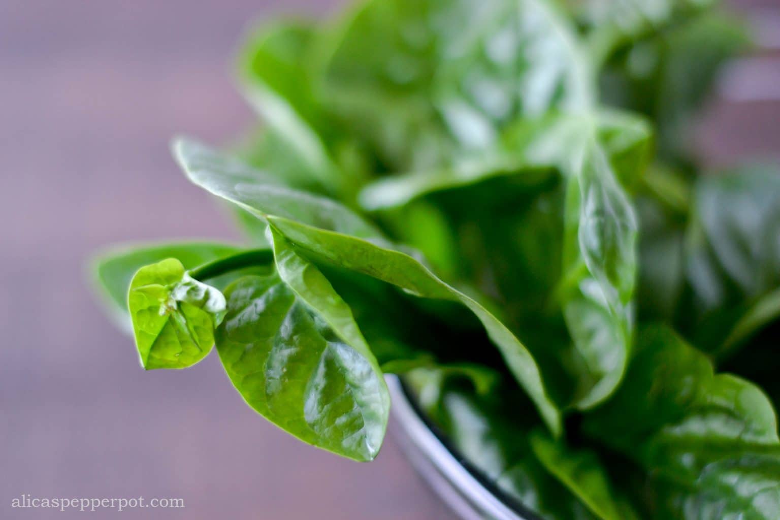 Bhaji with Shrimp (Sauteed Spinach) - Alica's Pepperpot