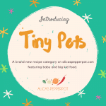 Introducing: Tiny Pots - Baby and Big Kid Food