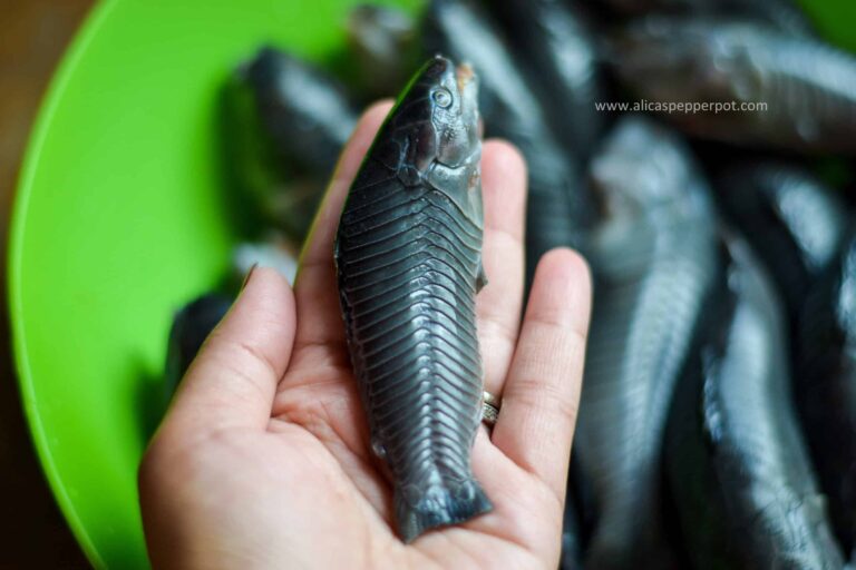 Hassar Curry (armored catfish) » Alica's Pepperpot