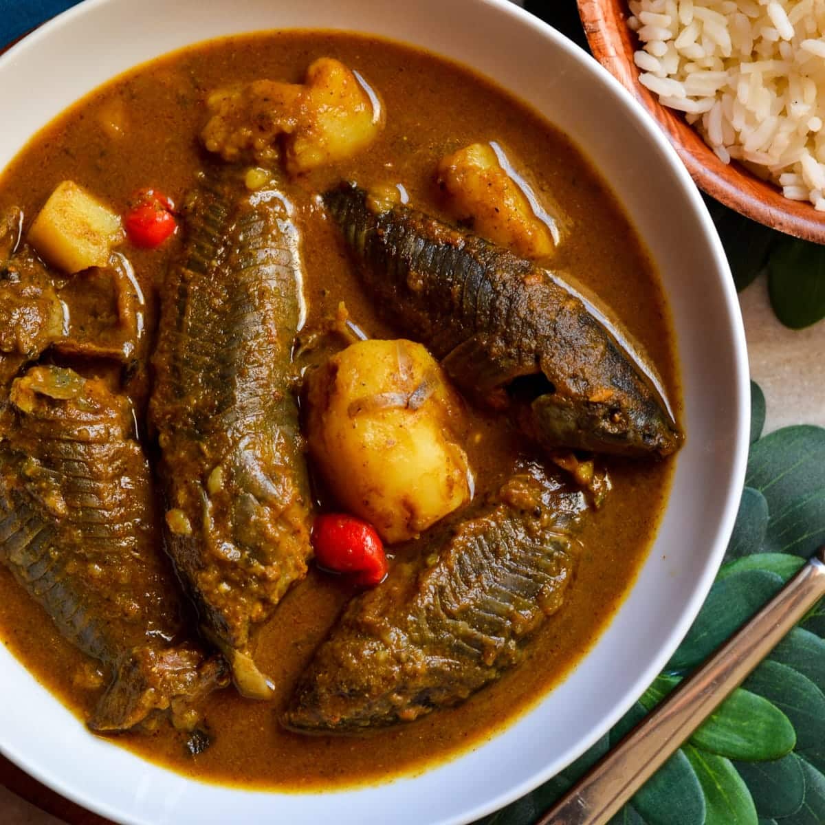 Hassar Curry (armored catfish) » Alica's Pepperpot
